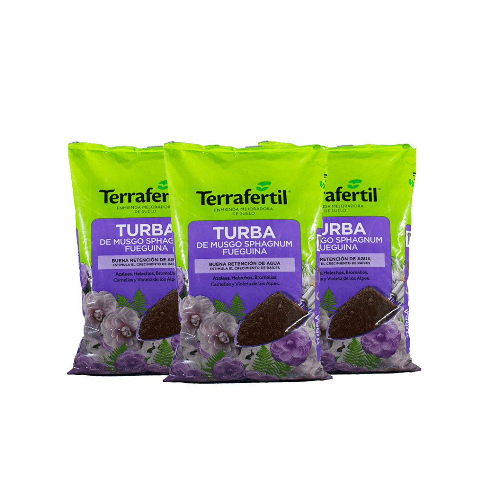 Combo Turba – Qib