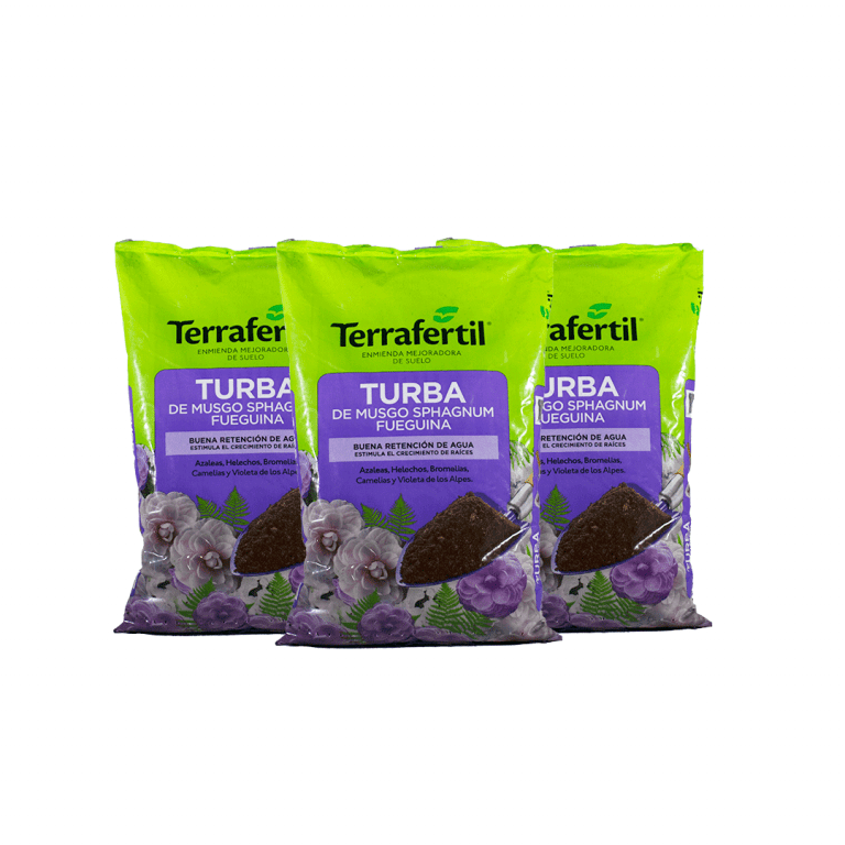 Combo Turba – Qib